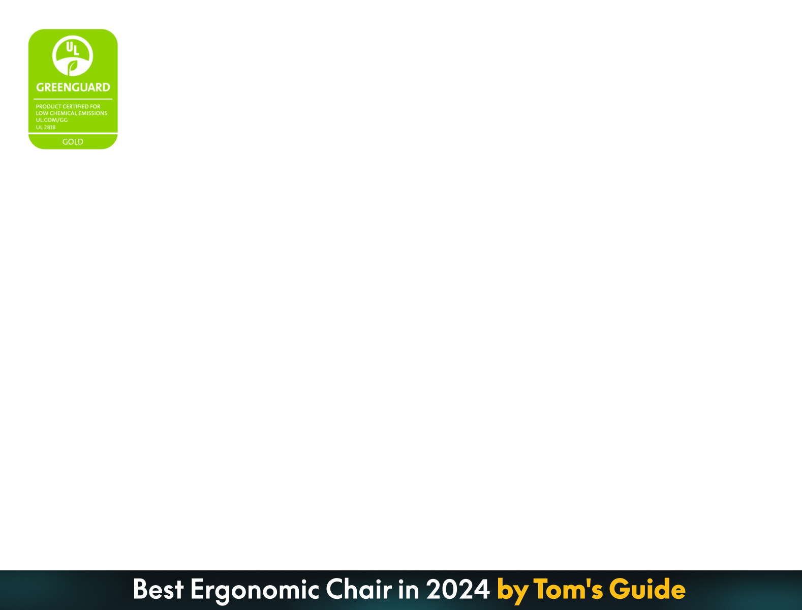 Professional Ergonomic Office Chair | Comfortable Chair C7M | Flexispot