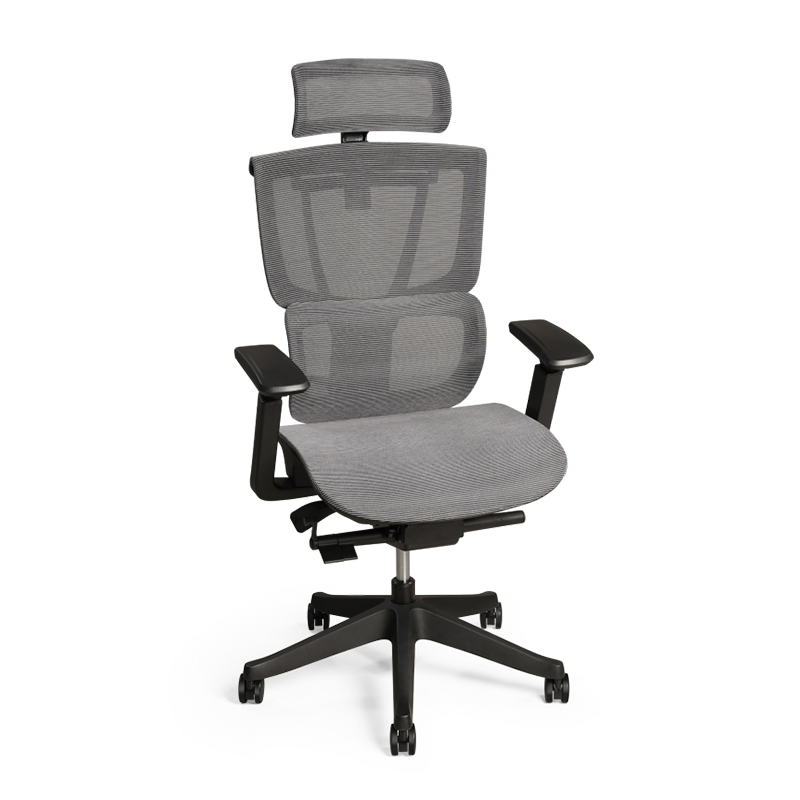 Ergonomic Office Chair | FlexiChair C7 for Improved Posture and ...