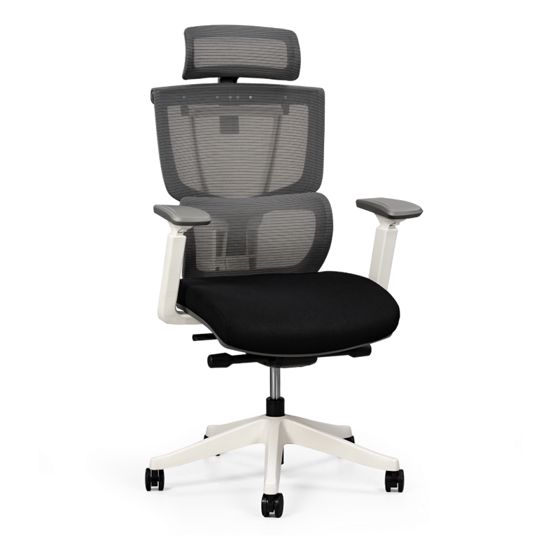 Ergonomic Office Chair | FlexiChair C7 for Improved Posture and ...