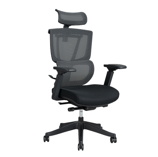 Ergonomic Office Chair | FlexiChair C7 for Improved Posture and ...