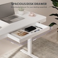 Comhar Standing Desk with Drawers | Flexispot