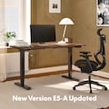 Pro Standing Desk (E5) | Flexispot