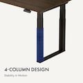 FlexiSpot Odin 4-Leg standing desk E7Q