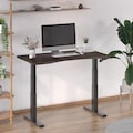 Pro Plus Standing Desk (E7) | Flexispot