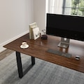 FlexiSpot Odin 4-Leg standing desk E7Q