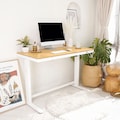 Comhar All-in-One Standing Desk (Wooden Tabletop) EW8 | Flexispot