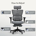 Professional Ergonomic Office Chair | Comfortable Chair C7M | Flexispot