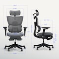 Professional Ergonomic Office Chair | Comfortable Chair C7M | Flexispot