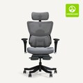 Professional Ergonomic Office Chair | Comfortable Chair C7M | Flexispot