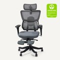 Professional Ergonomic Office Chair | Comfortable Chair C7M | Flexispot