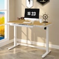 Comhar All-in-One Standing Desk (Wooden Tabletop) EW8 | Flexispot