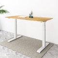 Bamboo Standing Desk | FlexiSpot
