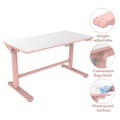 Height Adjustable Ergonomic Study Desk SD1 | Flexispot