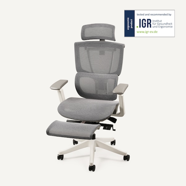 Office Chair | FlexiSpot