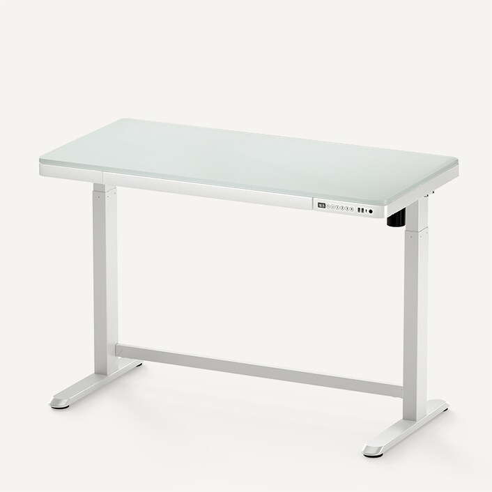 Flexispot white store