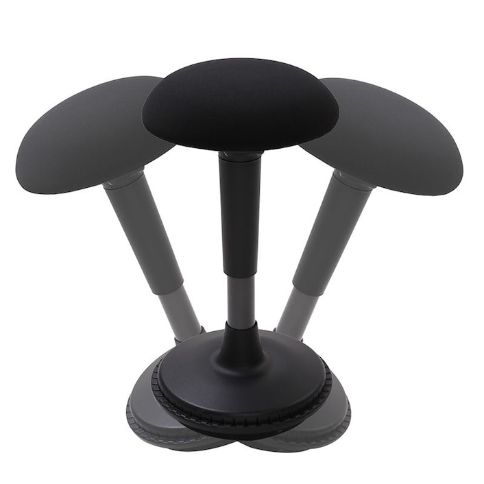 Flexispot wobble store