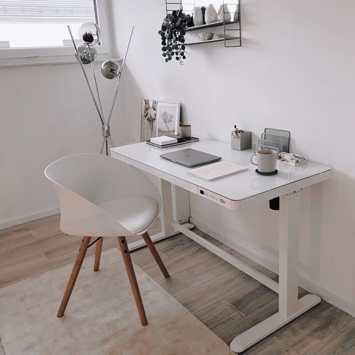 Flexispot eg8 standing desk store