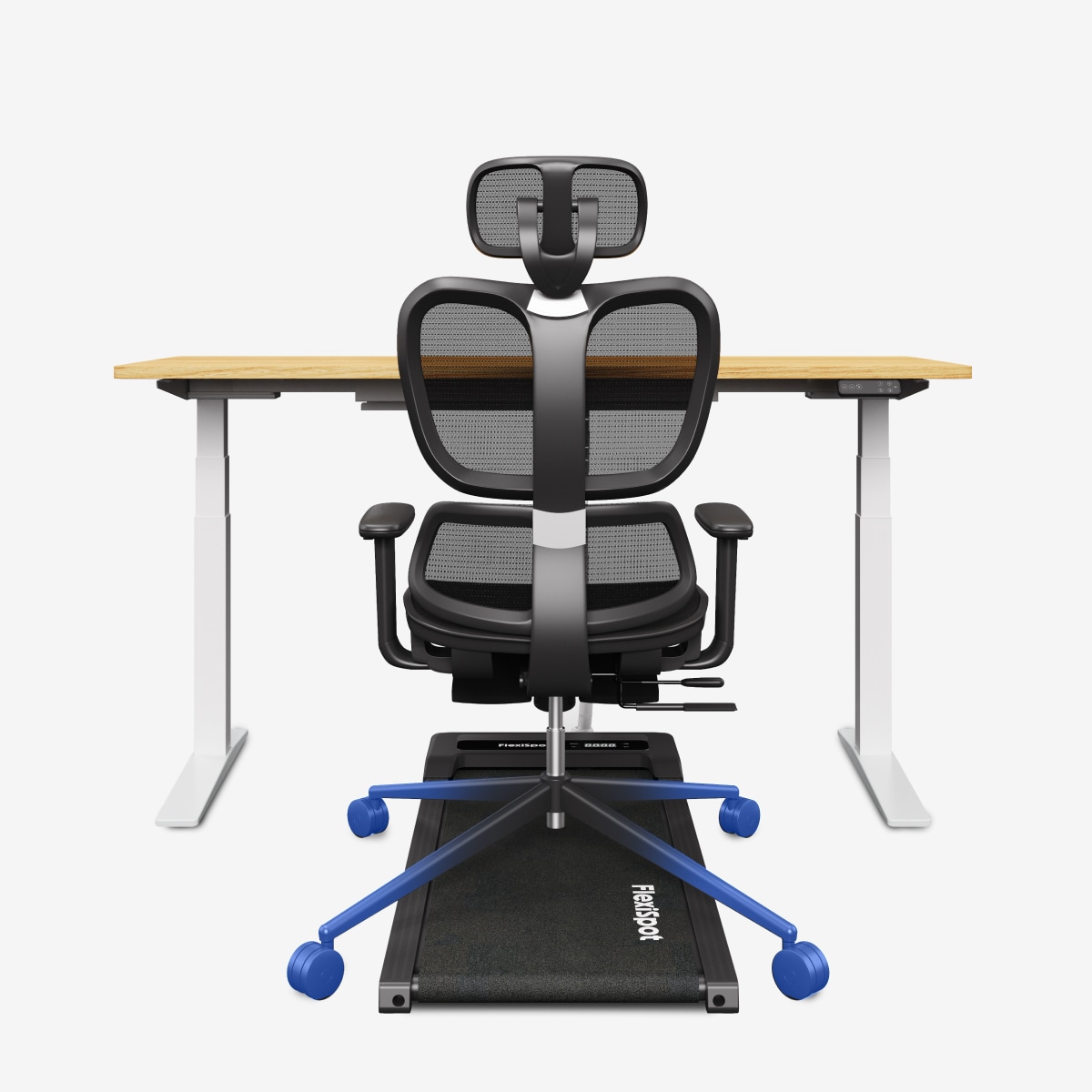 QuadFlex Ergonomic Chair丨Stable, Comfortable Office Seating | Flexispot