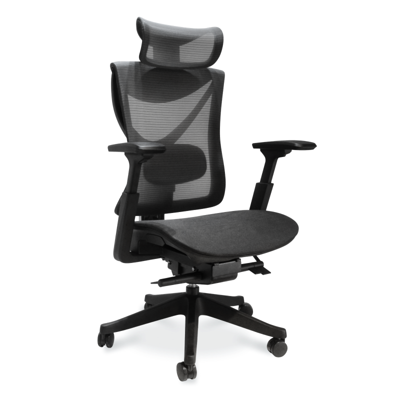 Ergonomic Office Chair | A5 | Flexispot
