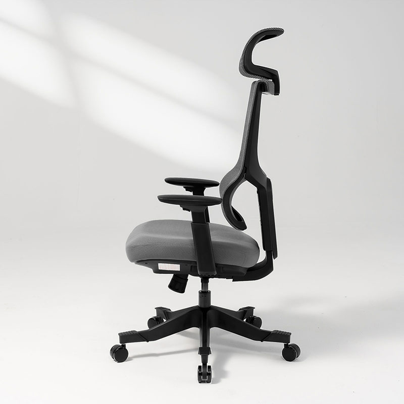 Technologically advanced height adjustable office chair BS8 | Flexispot