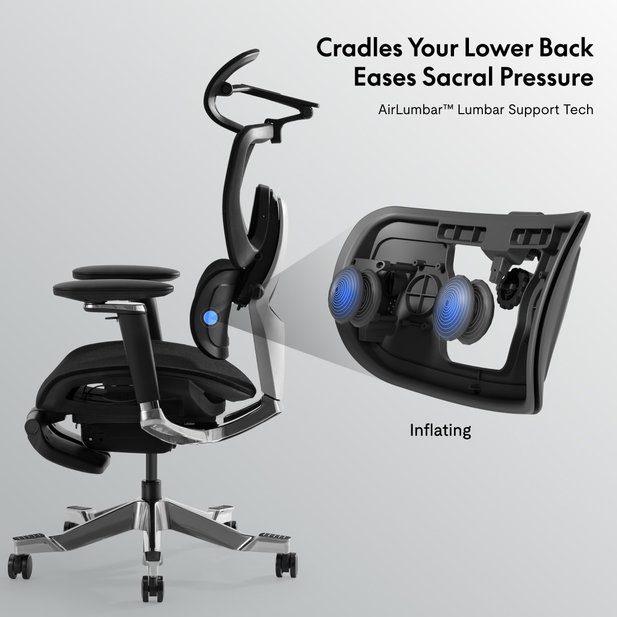 FlexiSpot Ergonomic Office Chair with Footrest|Chair For Back Pain|Best ...