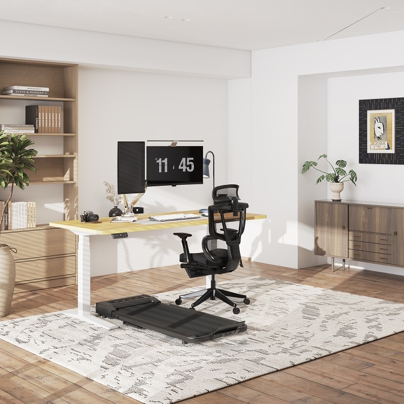 Sit-Stand-Walk Bundle | FlexiSpot