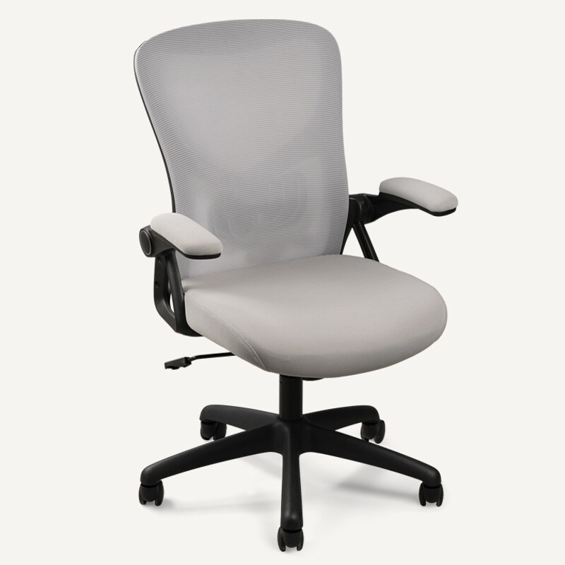Ergonomic Office Chair (C2) | Flexispot