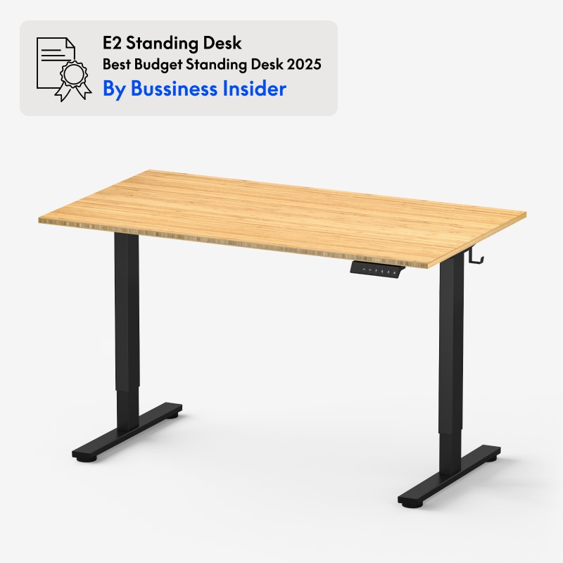 Dual Monitor Mount丨FlexiSpot
