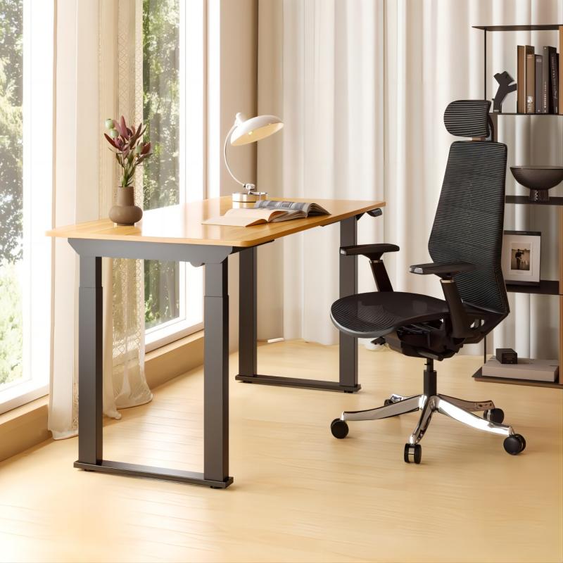Standard 4-leg standing desk E2Q - FlexiSpot US