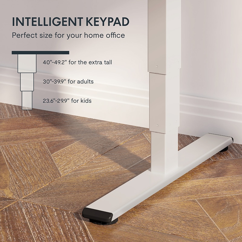 E5 Lite Electric Height Adjustable Standing Desk | FlexiSpot US