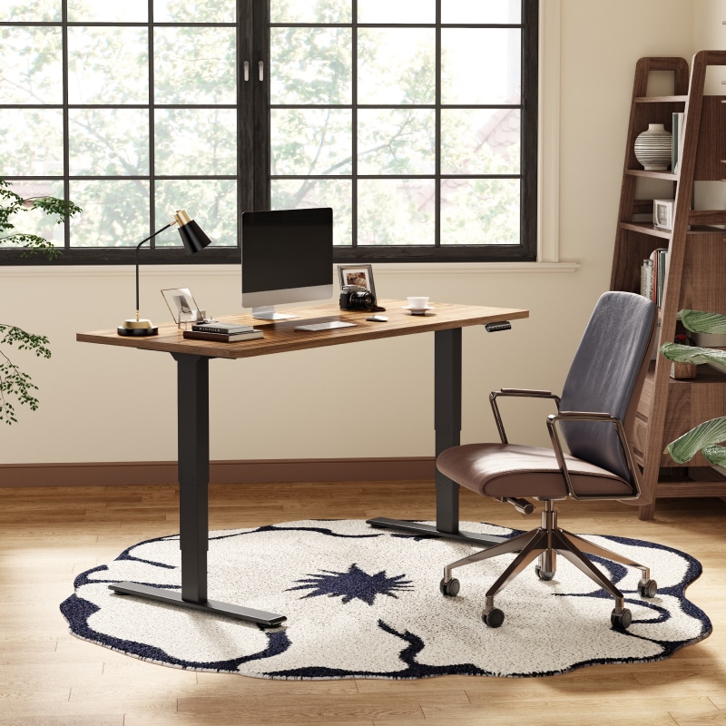 E5 Lite Electric Height Adjustable Standing Desk | FlexiSpot US