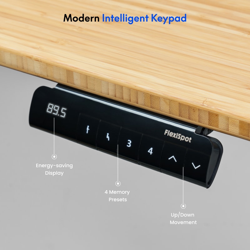 E5 Lite Electric Height Adjustable Standing Desk | FlexiSpot US