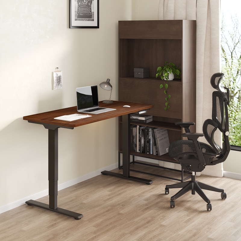 E5 Lite Electric Height Adjustable Standing Desk | FlexiSpot US