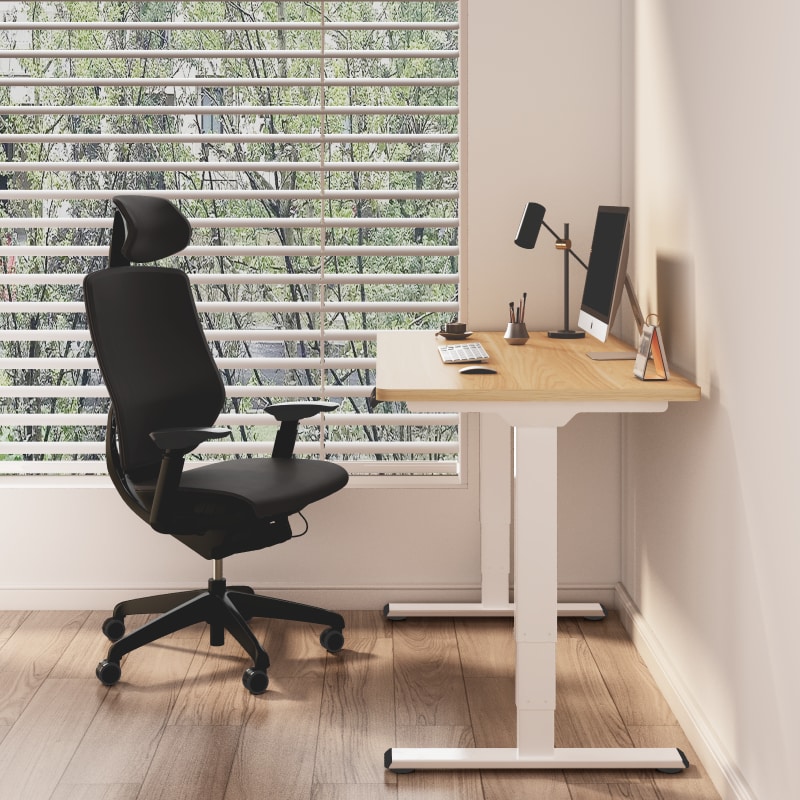 E5 Lite Electric Height Adjustable Standing Desk | FlexiSpot US