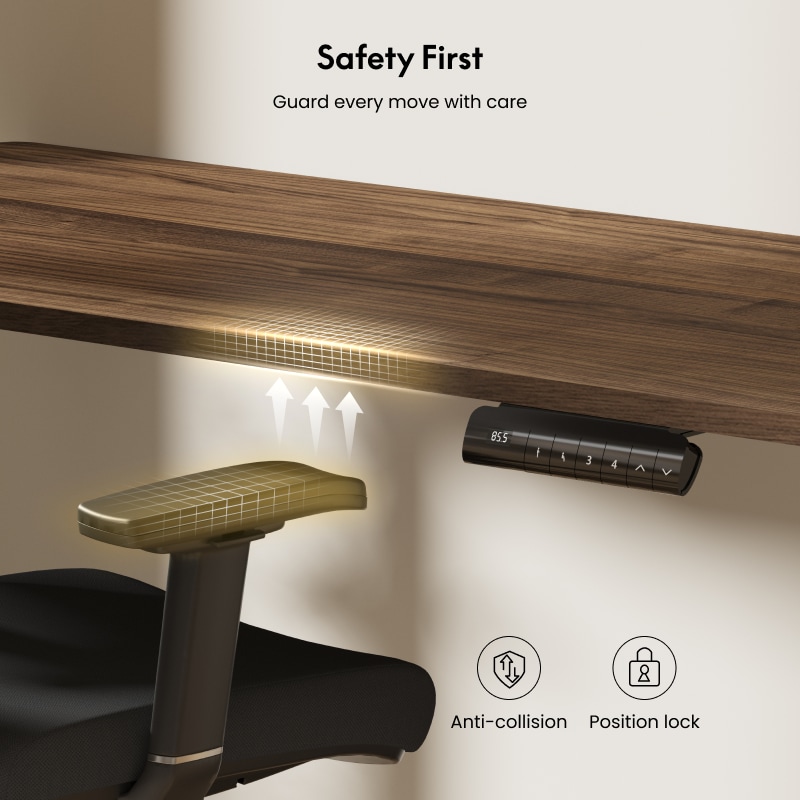 E5 Lite Electric Height Adjustable Standing Desk | FlexiSpot US