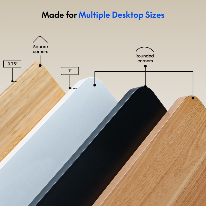 E5 Lite Electric Height Adjustable Standing Desk | FlexiSpot US