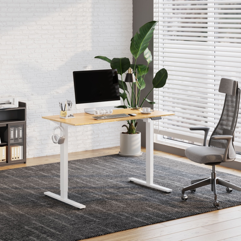 Standard Standing Desk (E2) | Flexispot