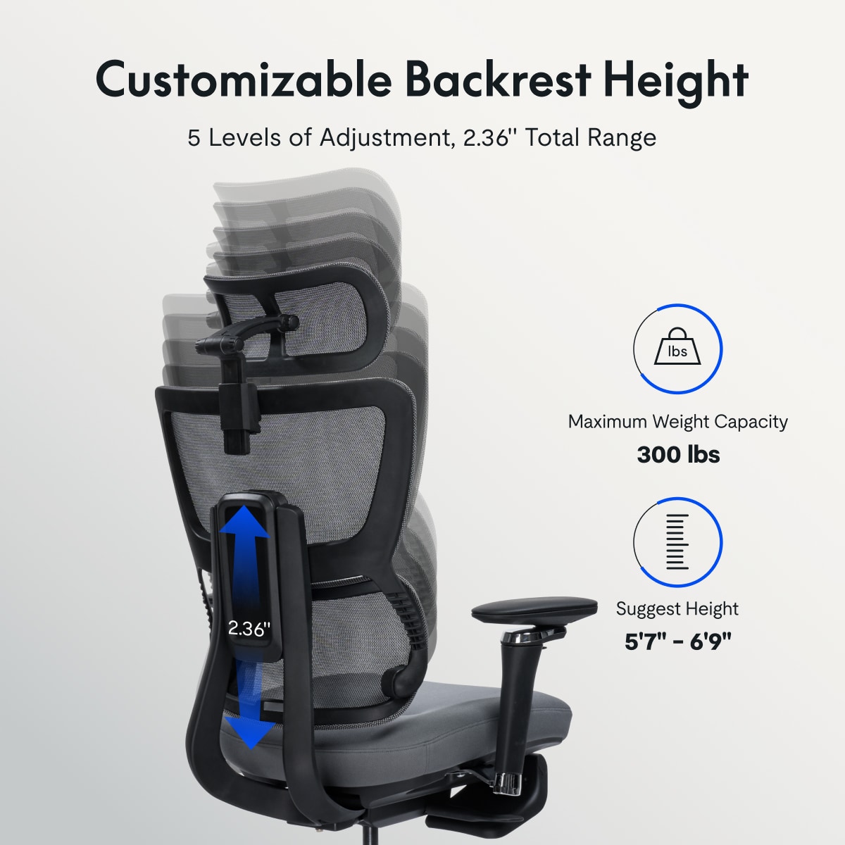 Professional Ergonomic Office Chair | Comfortable Chair C7M | Flexispot