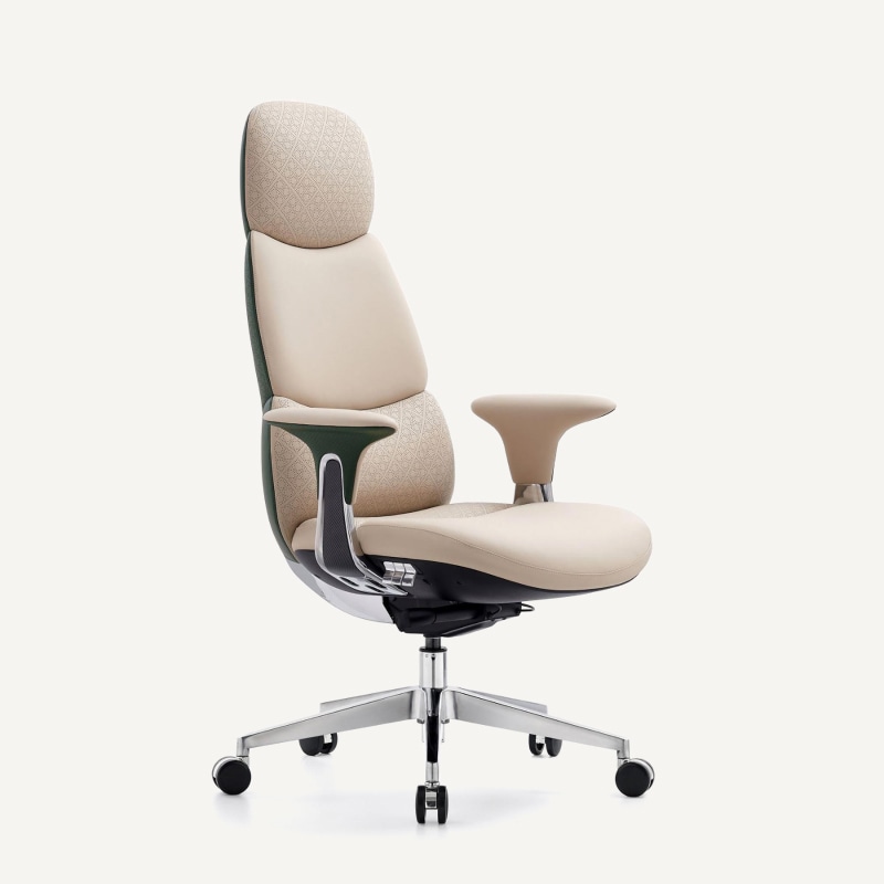 Ergonomic Office Chair | Executive Leather Office Chair （L8） | Flexispot