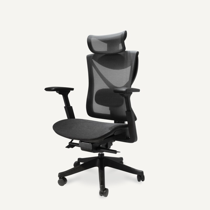 Ergonomic Office Chair | A5 | Flexispot