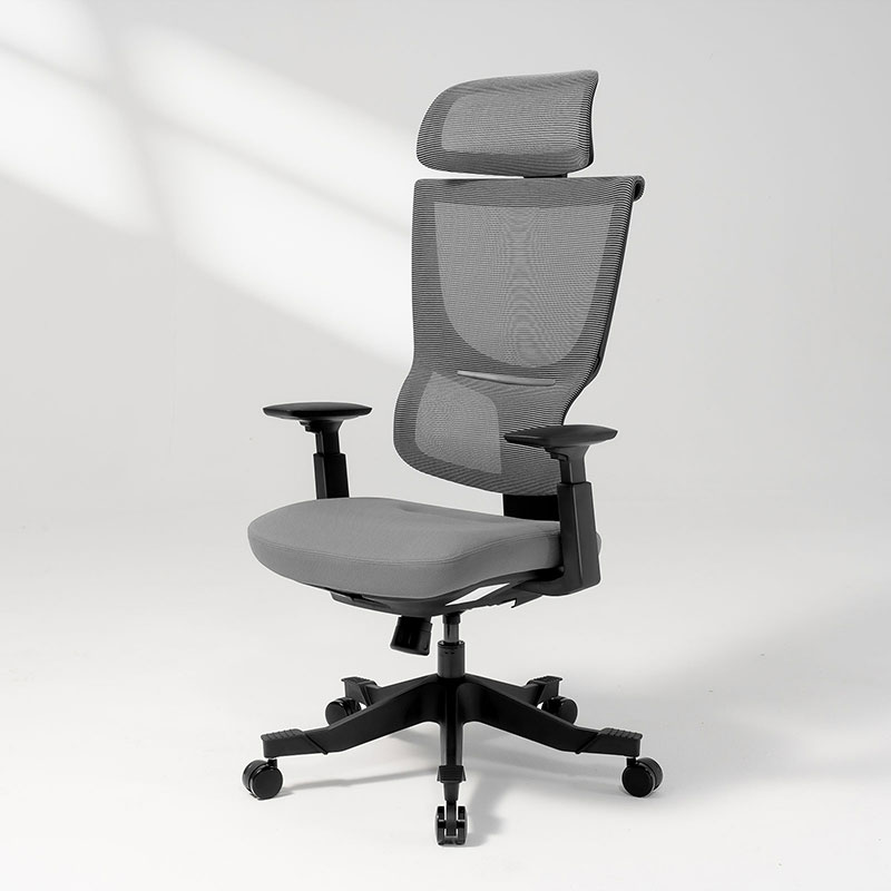 Technologically advanced height adjustable office chair BS8 | Flexispot