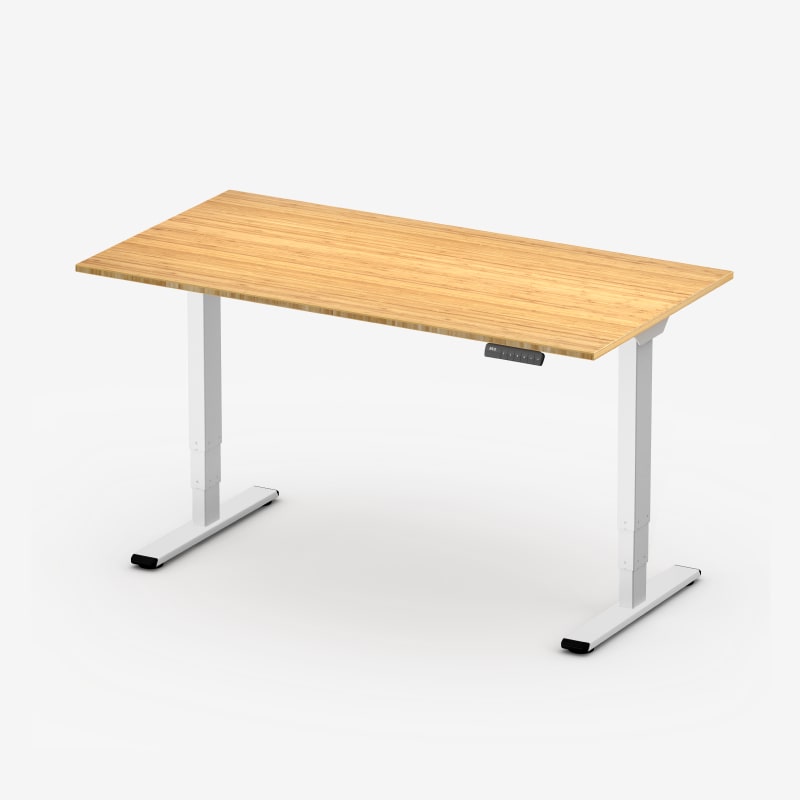 E5 Lite Electric Height Adjustable Standing Desk | FlexiSpot US