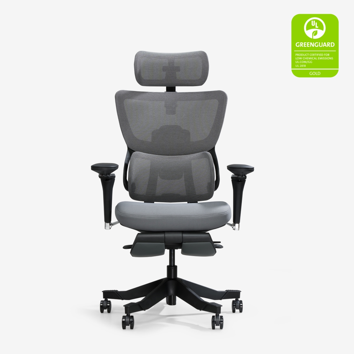 Professional Ergonomic Office Chair | Comfortable Chair C7M | Flexispot