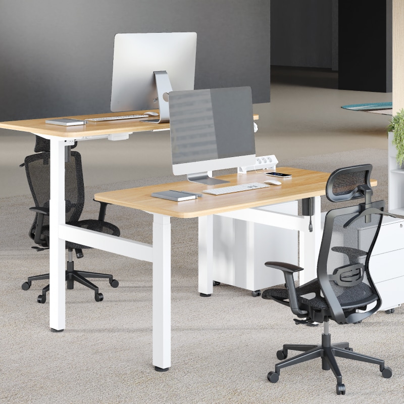 2-Person Standing Desk eh1 Frame only | Flexispot