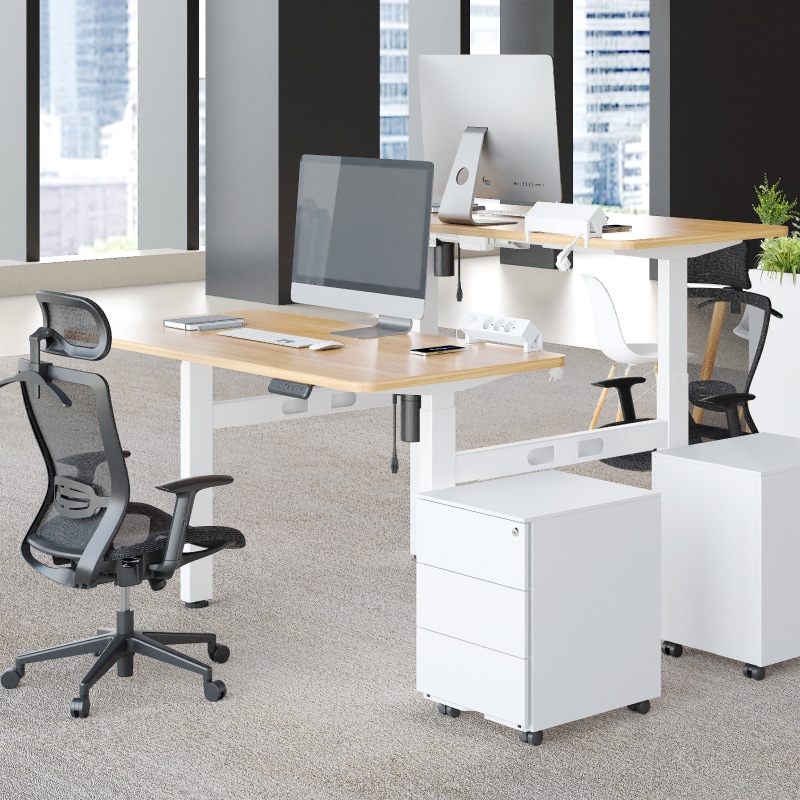 2-Person Standing Desk eh1 Frame only | Flexispot