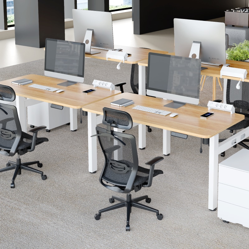 2-Person Standing Desk eh1 Frame only | Flexispot