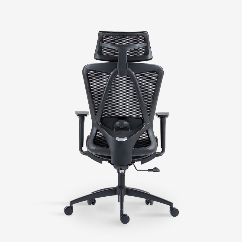 Soutien Ergonomic Office Chair C5 | Flexispot