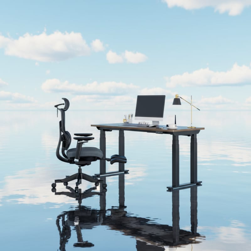 Professional Ergonomic Office Chair | Comfortable Chair C7M | Flexispot