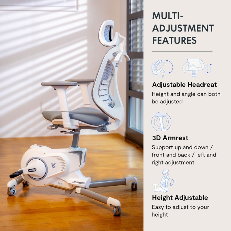 Intelligent Office Fitness Chair | Flexispot