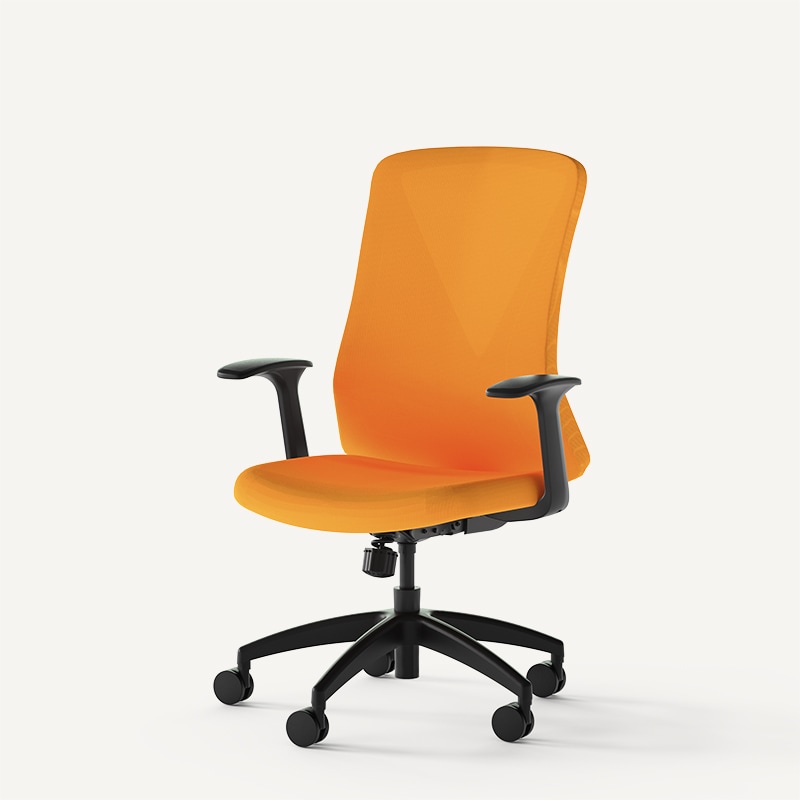 Ergonomic Office Chair OC15 | Flexispot